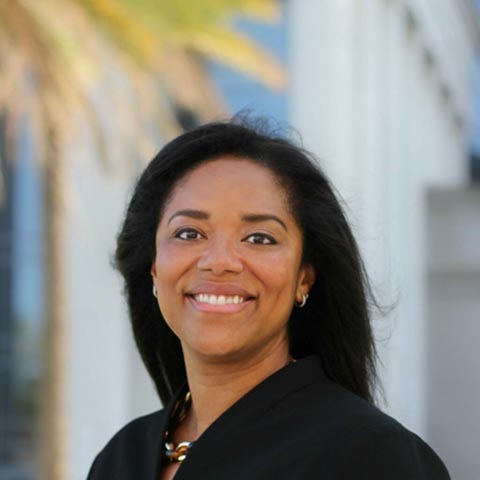 Violent Crime Working Group - Council on Criminal Justice